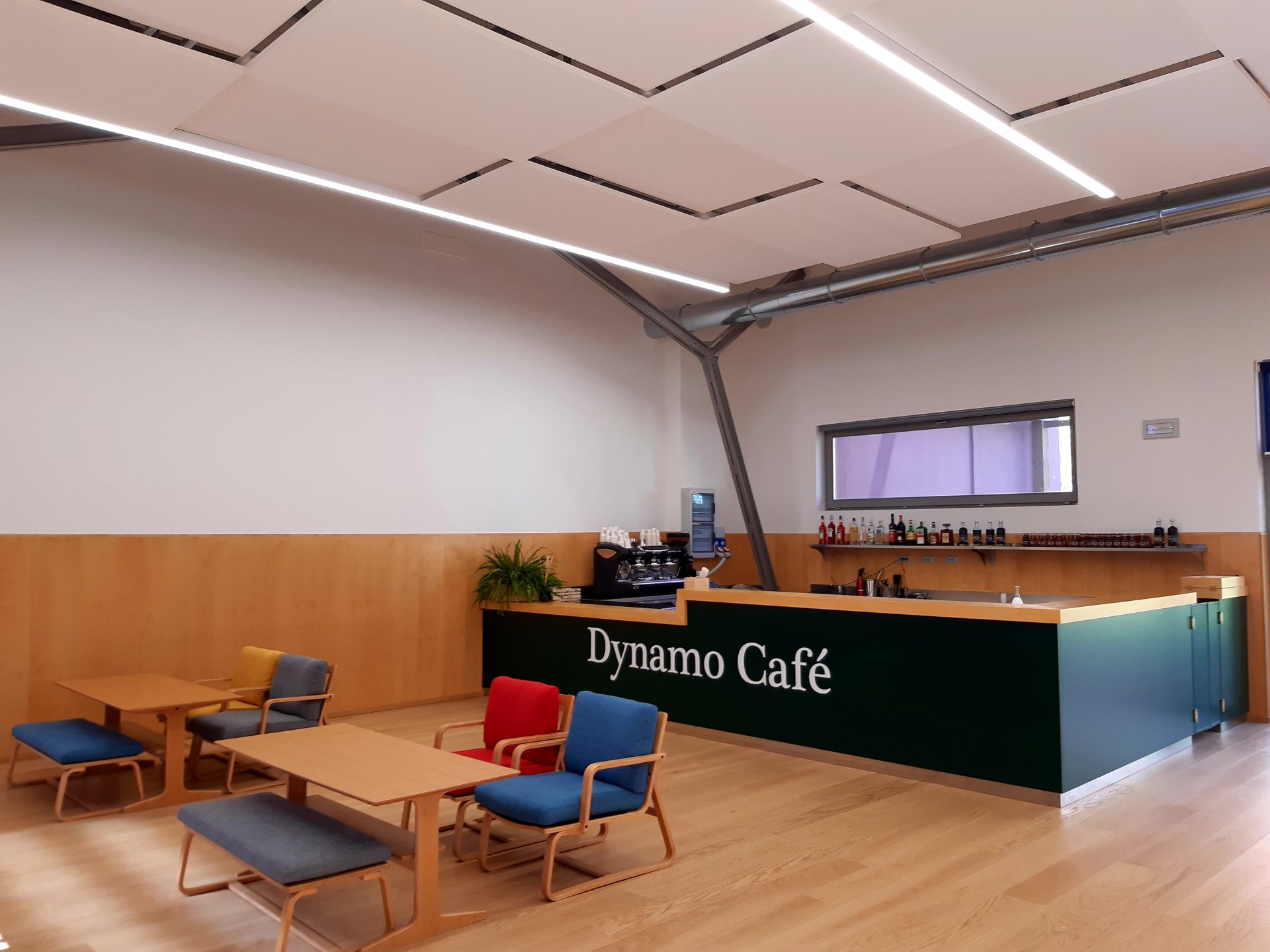 EDUCATION | Dynamo Academy