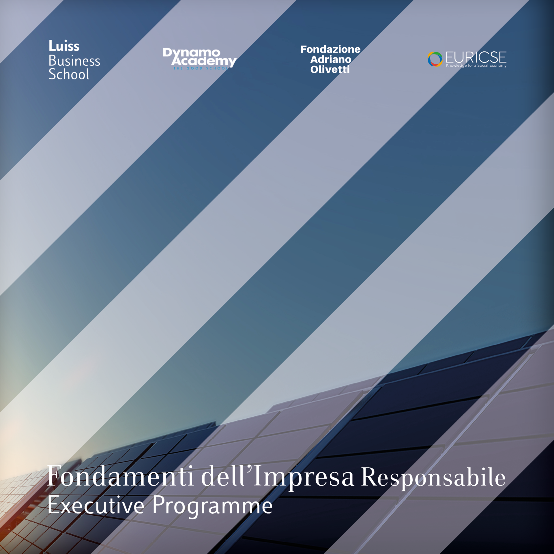 Education | Dynamo Academy